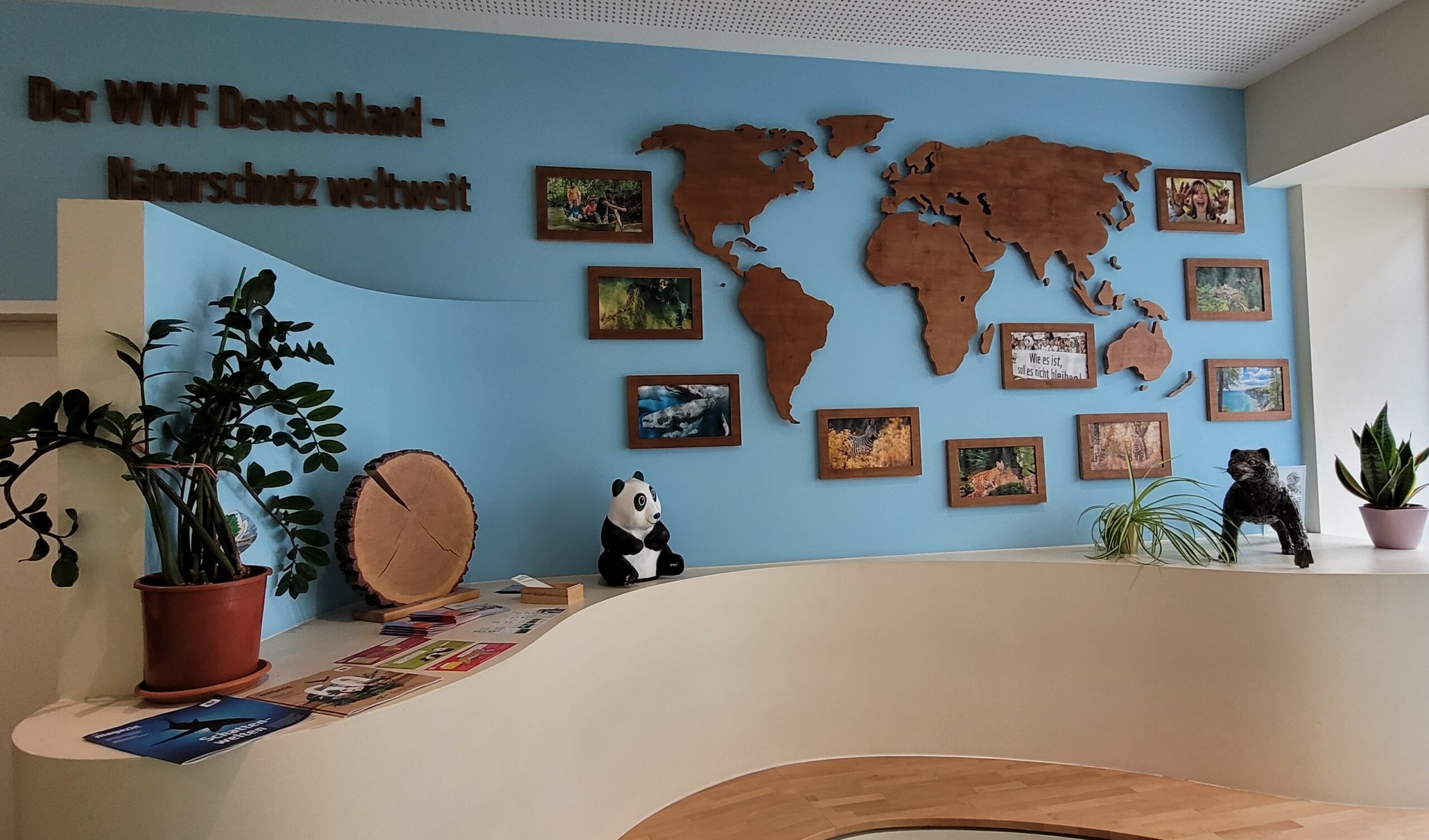 Synergizing Indigenous Wisdom and Conservation: Unveiling the Power of ...